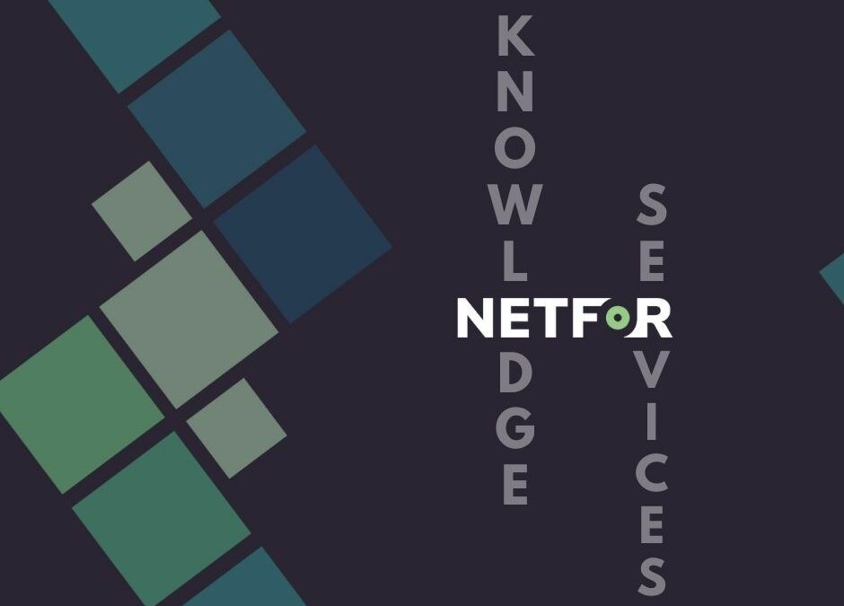 Day in the Life of a Program Manager - Netfor